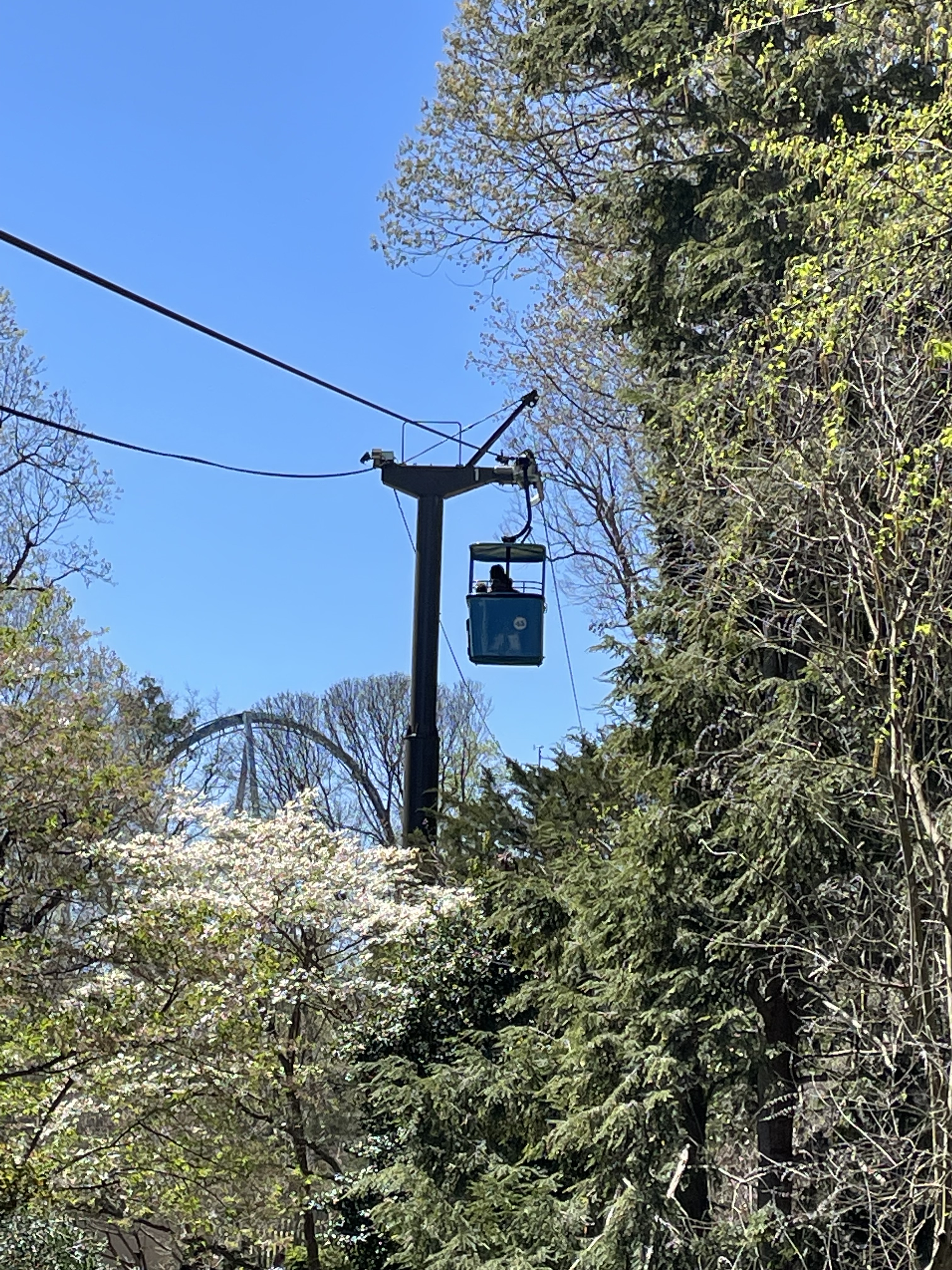 Possible Reason Why Skyride hasn’t Reopened Yet? | BGT Safari