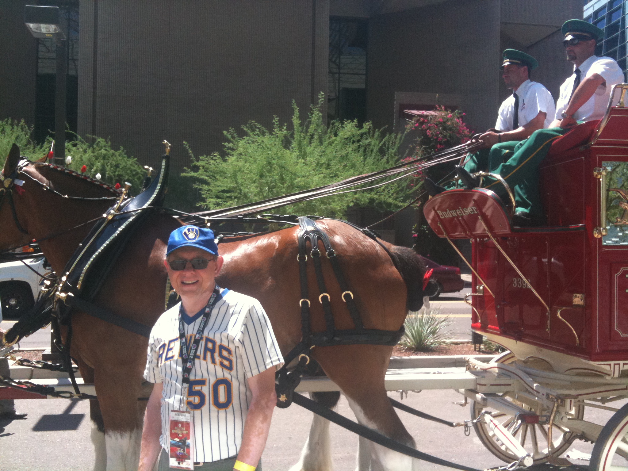 What do horses, beer, a haunted house and Busch Gardens have in common ...