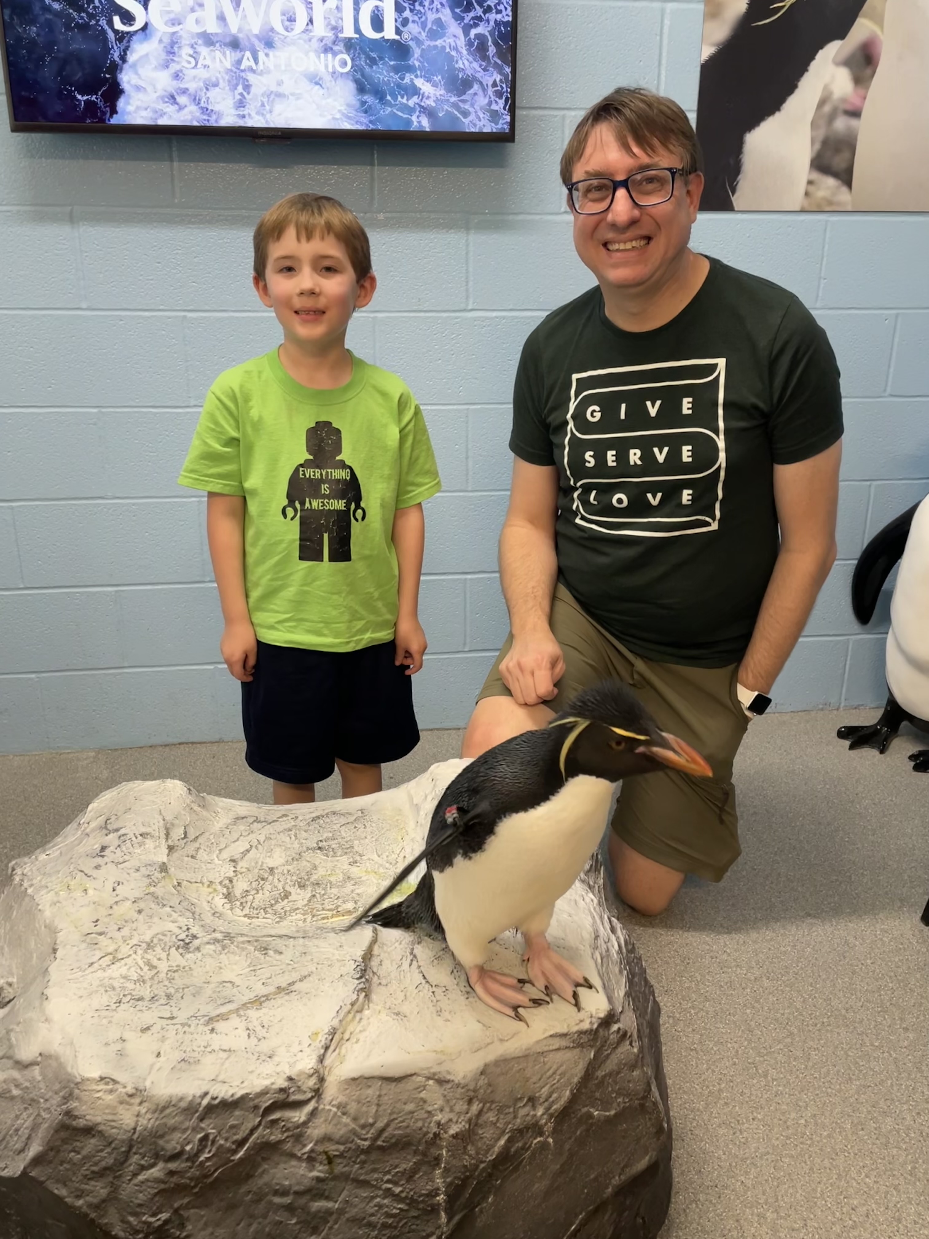 Review of Awesome and Affordable Penguin Encounter at Sea World San ...