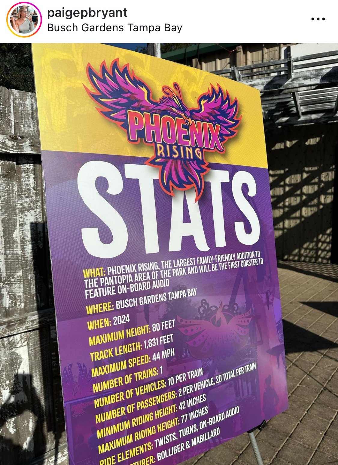 New POV of Phoenix Rising at Busch Gardens! | BGT Safari