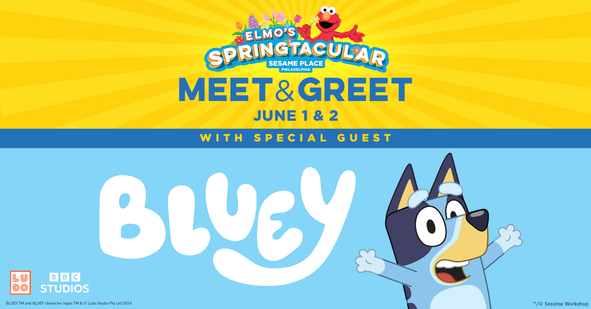 Is Bluey Coming to a Theme Park? Which One? Disney? Sesame Place? Alton ...