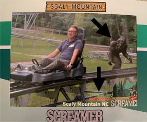Scaly Mountain Screamer Review at Highlands Outpost in North Carolina ...