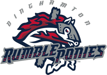 Binghamton Rumble Ponies and Brooklyn Cyclones Connect Baseball and ...