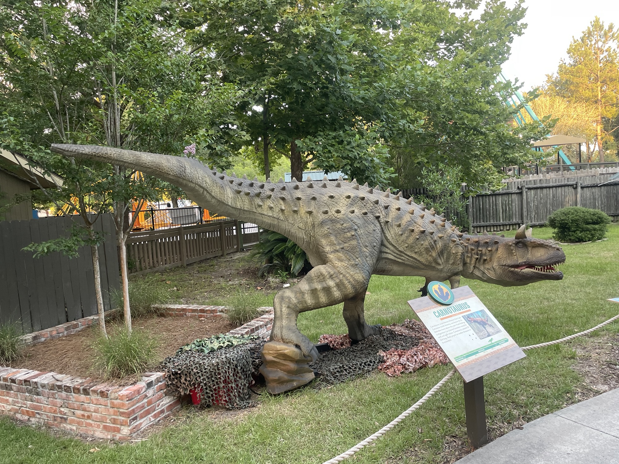 Earn the “Digging in the Past” Cub Scout Adventure Loop at Wild ...