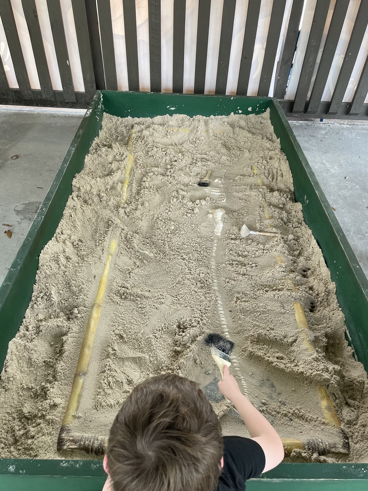 Earn the “Digging in the Past” Cub Scout Adventure Loop at Wild ...