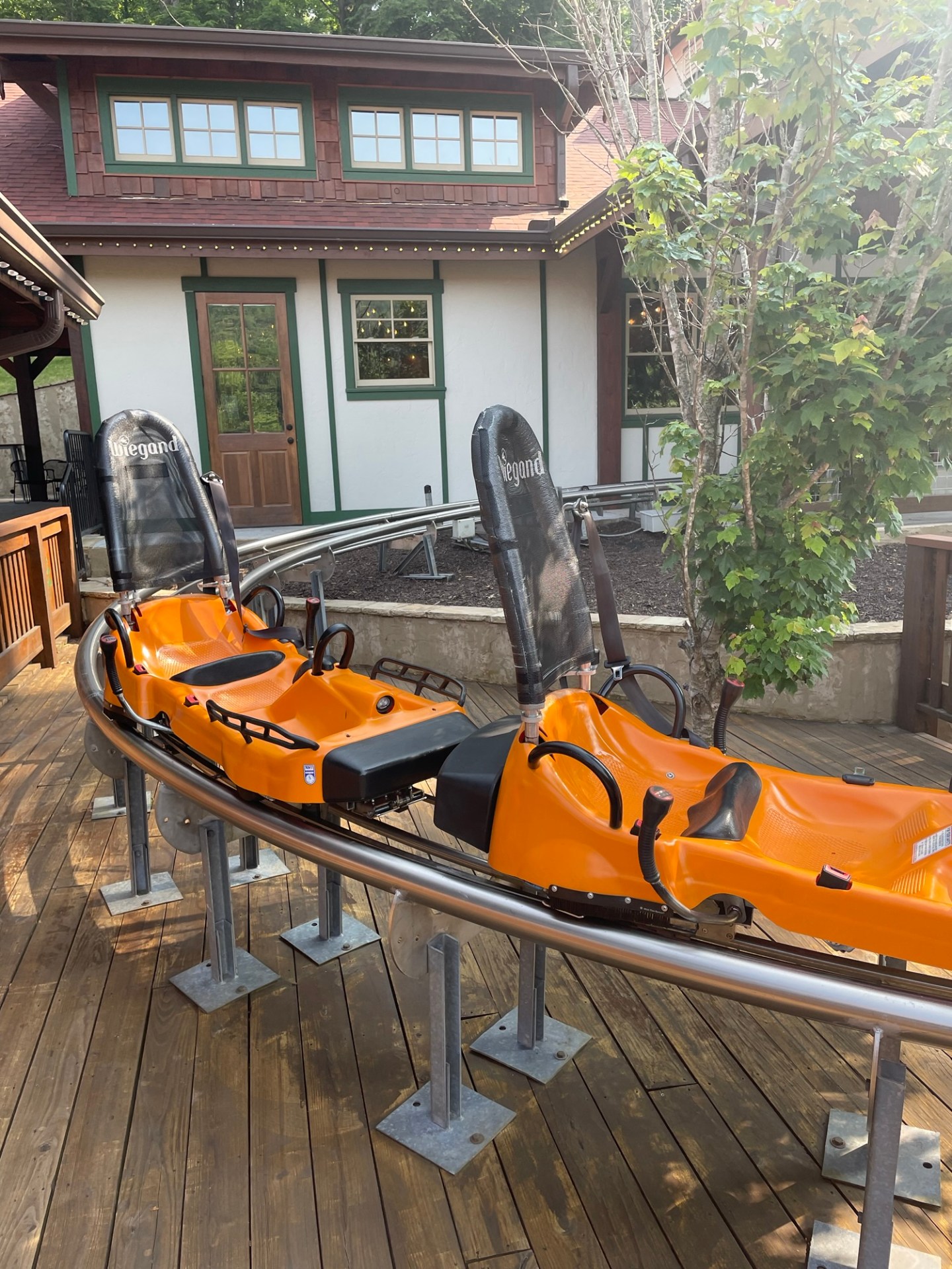 Review of the Georgia Mountain Coaster: The Perfect Addition to ...