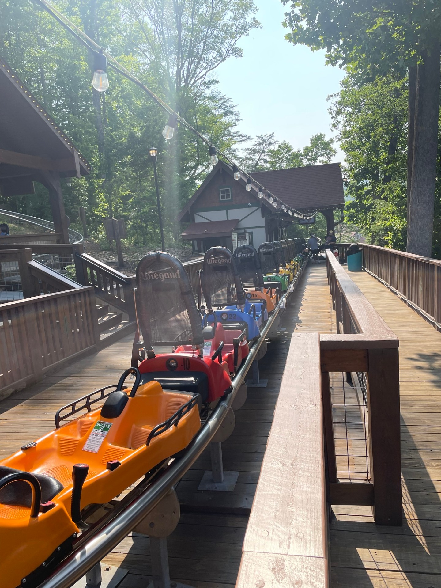 Review of the Georgia Mountain Coaster: The Perfect Addition to ...