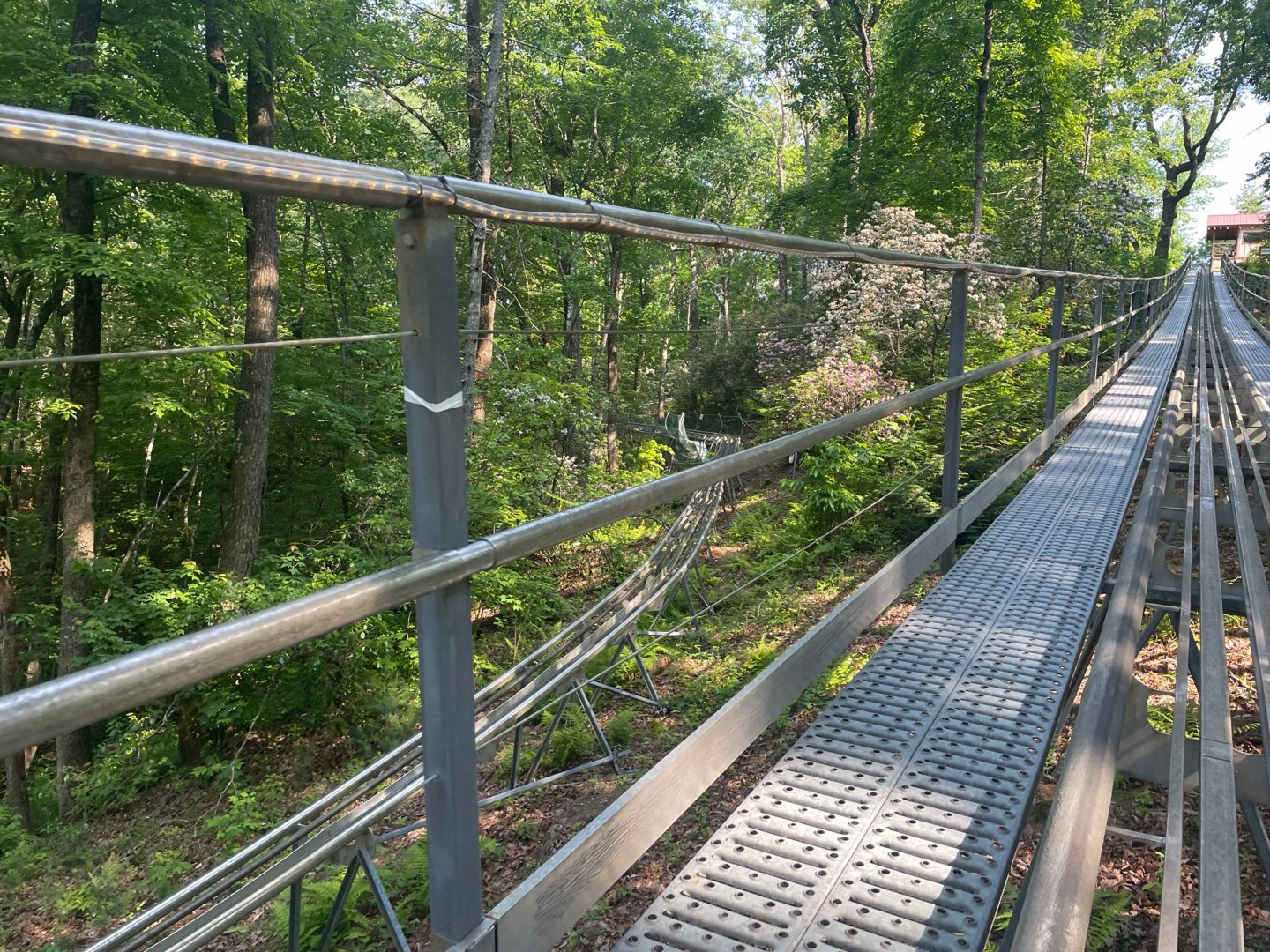 Review of the Georgia Mountain Coaster: The Perfect Addition to ...