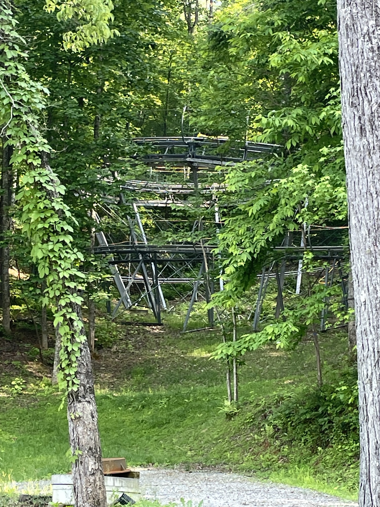 Review of the Georgia Mountain Coaster: The Perfect Addition to ...